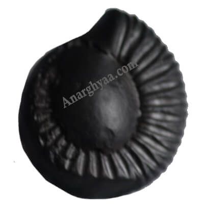 Suryanarayana Saligrama, Shaligram, Anarghyaa.com